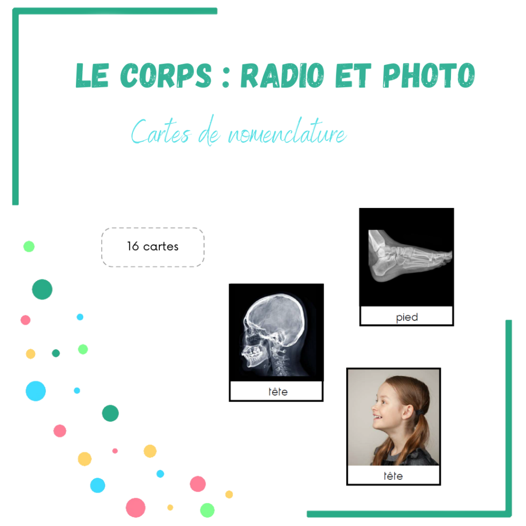 Cartes de nomenclature - le corps humain : photos et radios - Ma Bulle ...