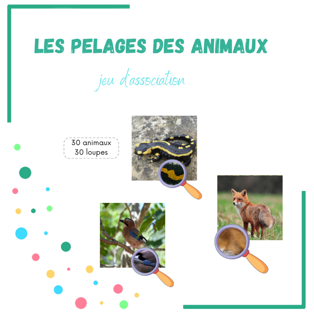 Jeu d'association - les pelages des animaux - Ma Bulle Happy Family