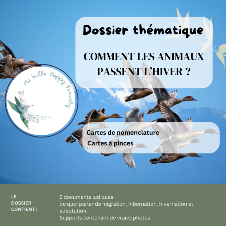 Dossier thématique - Comment les animaux passent l'hiver ? - Ma Bulle ...
