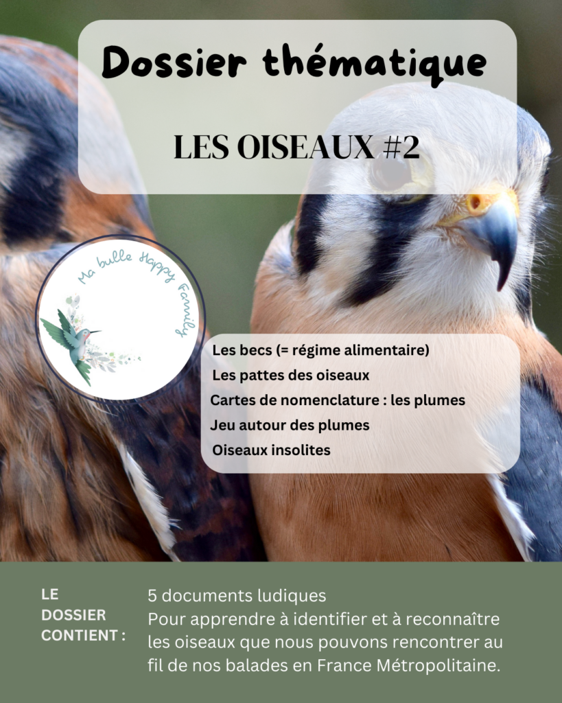 Dossier thématique - les oiseaux #2 - Ma Bulle Happy Family